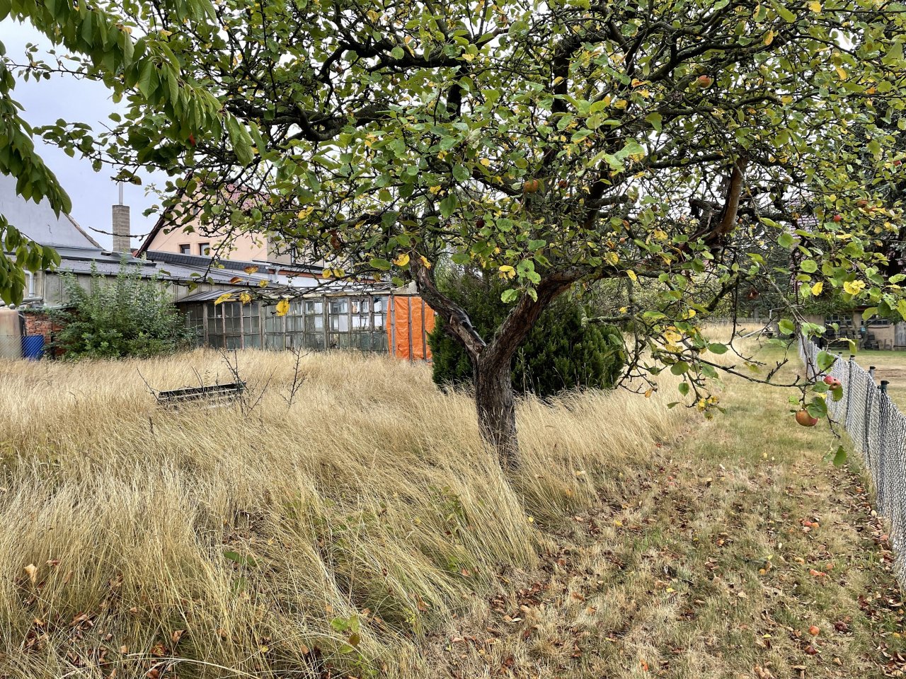 Garten Grundstuck Kaufen